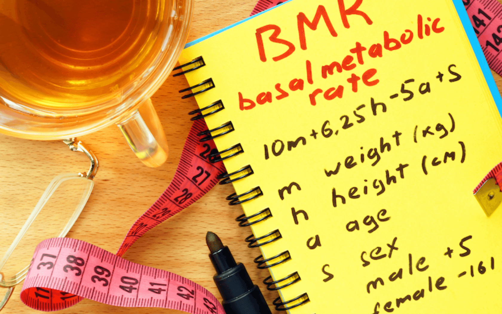 What Is the Basal Rate? - MyBody